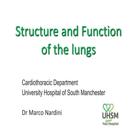 Structure and Function of the lung | PPTX