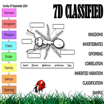 7D-CLASSIFICATION.pptx classification pt | PPTX