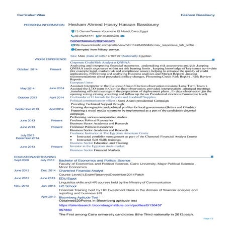 cv nour - Copy | PDF