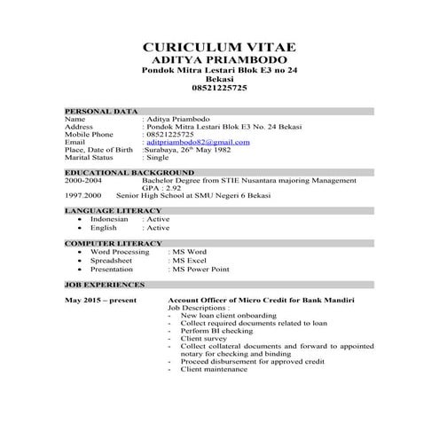 CURICULUM VITAE Aditya | PDF