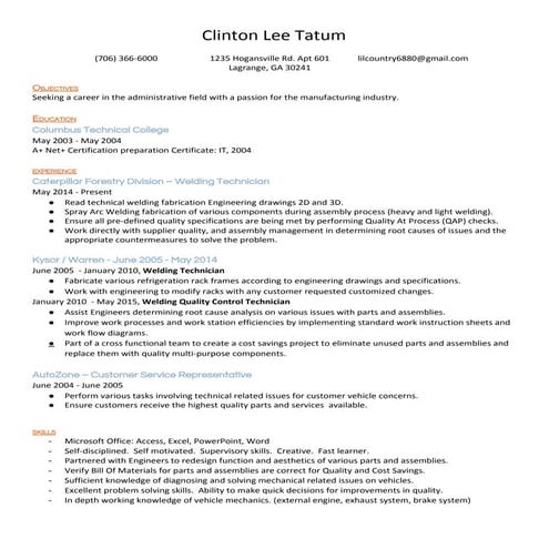 Career Chronology | PPTX