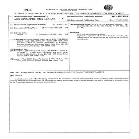 TSPi-Corporate-Presentation-Short-052813 | PPTX