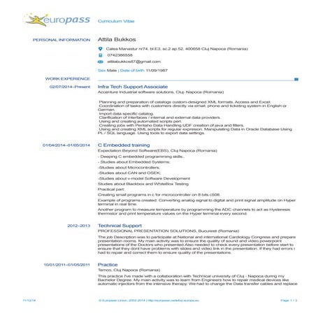 CV_Bukkos_Attila-EN | PDF | Programming Languages | Computing