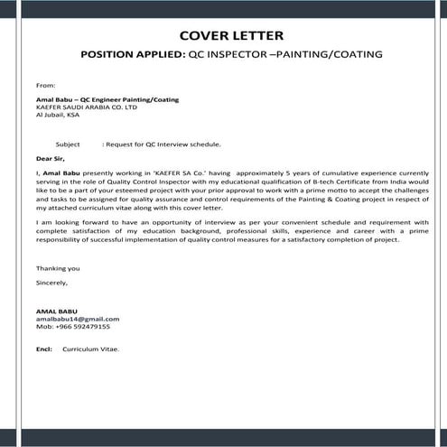 CV- AMAL | PDF | Resume Writing and Advice | Job Search