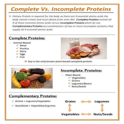 Complete vs Incomplete Proteins (1) | DOCX