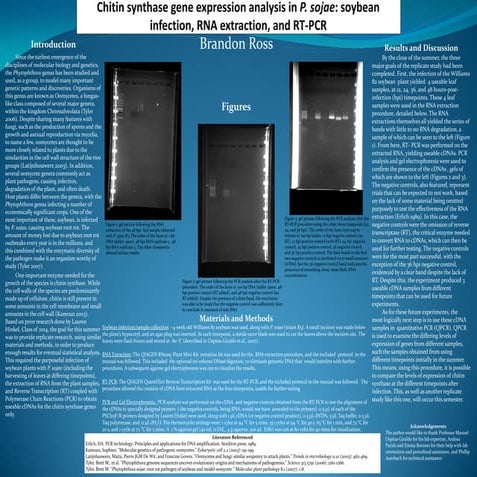 Ross poster final | PPT