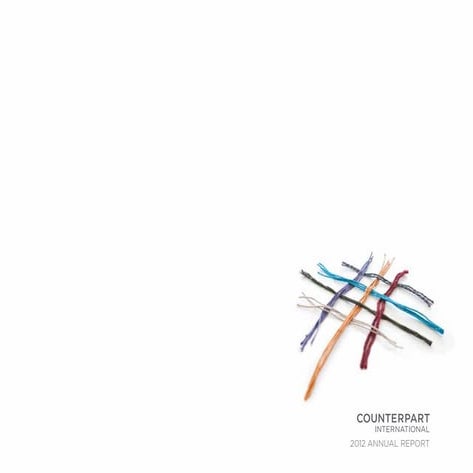 2012 Counterpart Report Annual Report | PPT