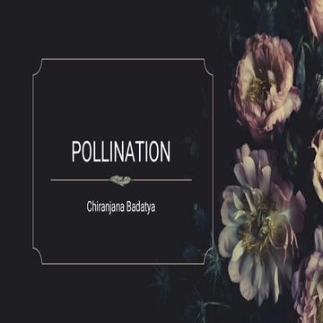 Pollination | PPTX
