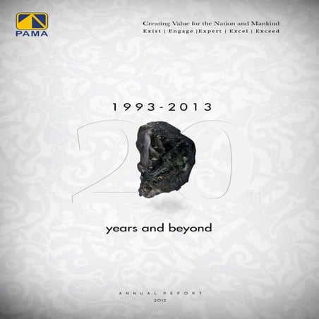 PAMA AR2012 lo-res_ | PDF