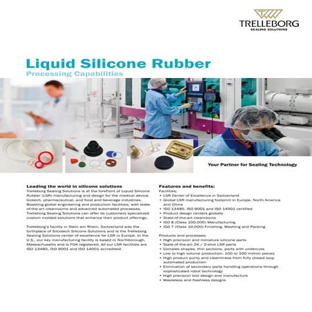 LSR_processing_capabilities_en | PDF | Manufacturing Industry | Industries