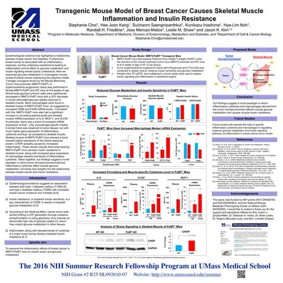 ASCB 2014 poster | PPTX