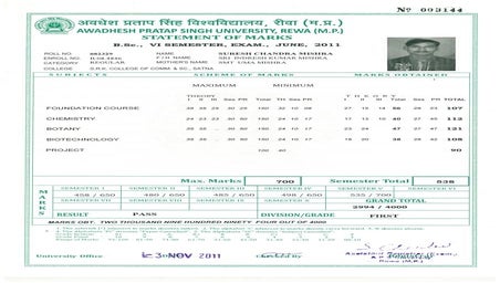 MCA(Marksheet) | PDF