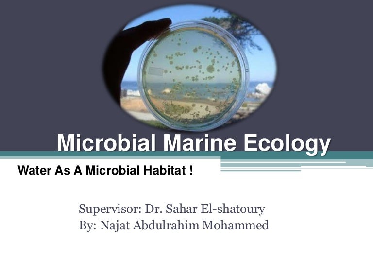 Microbial Ecology