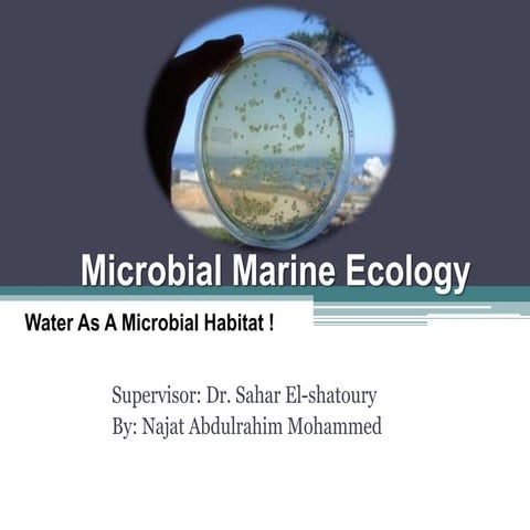 Microbial Marine Ecology | PPTX