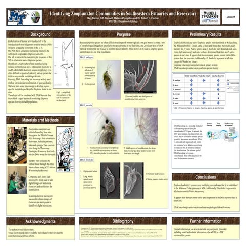 Summer Research Poster Zooplankton Identification - updated | PPT