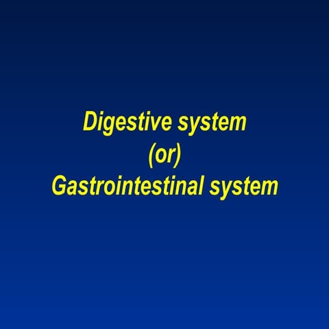 Gastrointestinal Tract: Anatomy & Physiology | PPTX