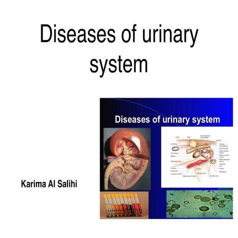 7 diseases of urinary system part a | PPT