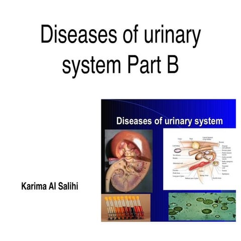 7 diseases of urinary system part b | PDF