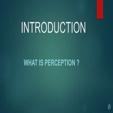 PERCEPTION | PPT