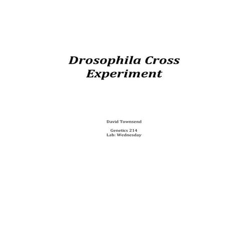 Drosophila - Laboratory Report 2 | DOCX