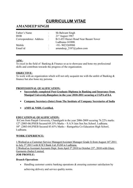 CV Formate (Dinesh) | PDF