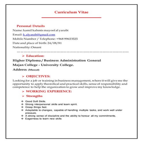 Sahil-CV | DOCX