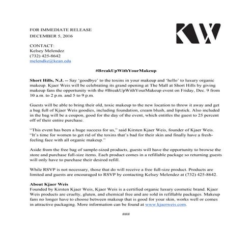 Example Media Kit | PDF