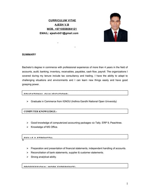 Hisham cv (1) | DOCX | Business Accounting & Finance | Business