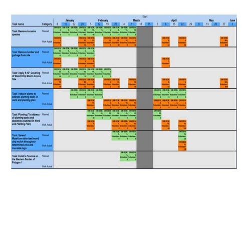 Timeline Revision Gantt Chart | PPT
