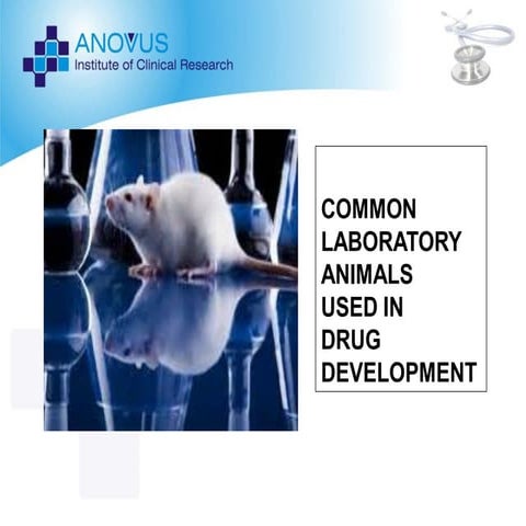 PRE-CLINICAL LAB ANIMALS ppt | PDF