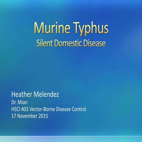 Murine Typhus | PPTX