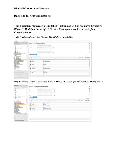 Windchill Customization Modeled Objects | PDF