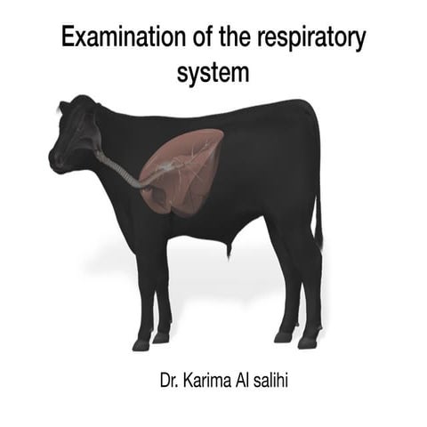 7 examination of respiratory system | PDF