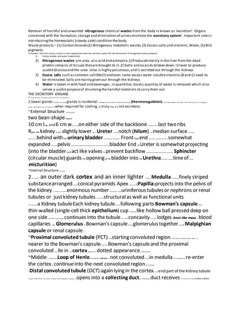 Avian excretory system | PPTX