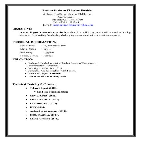 Mina Makram CV | PDF