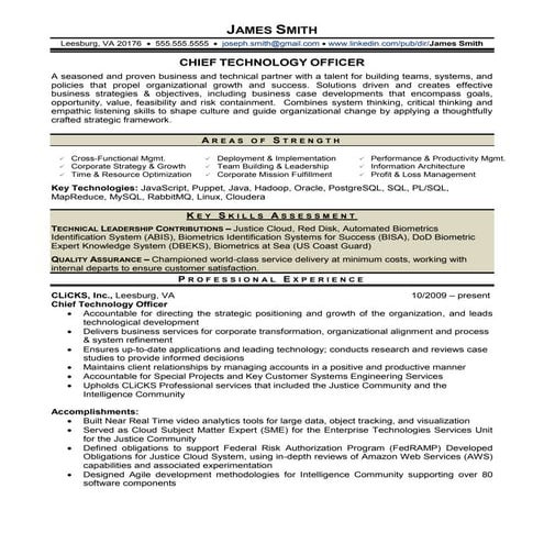 Resume IT Officer Sample | PDF