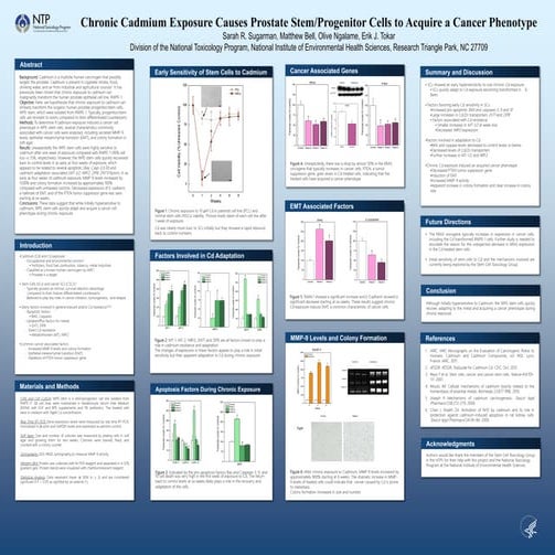 SIP Poster - Sarah Sugarman | PPTX