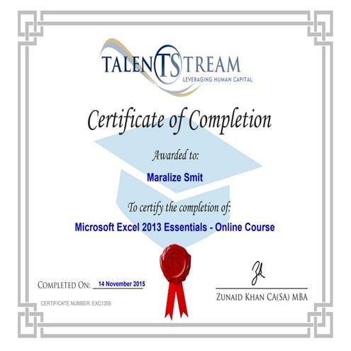Excel certificate | PDF