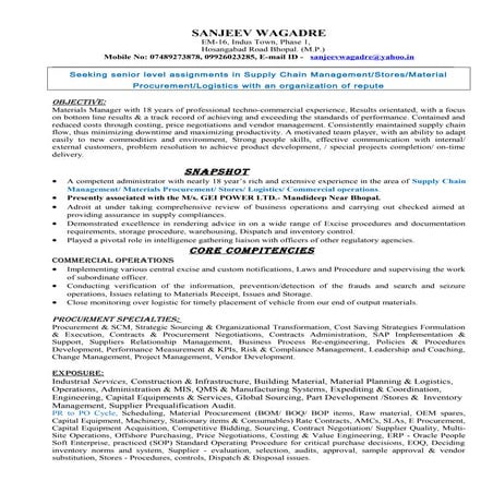 SANJEEV RESUME | DOC