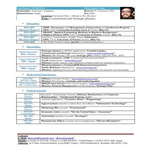 GUIRGUIS Fadi - CV - English | PDF