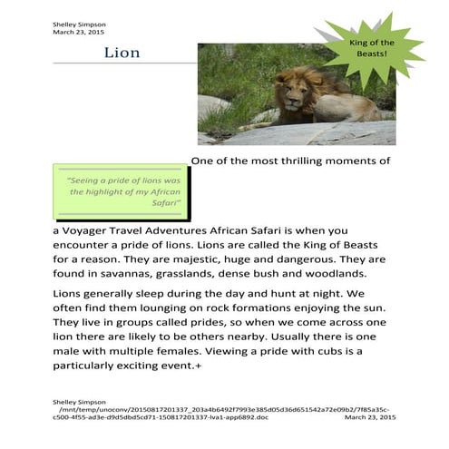Lion Flyer | DOC