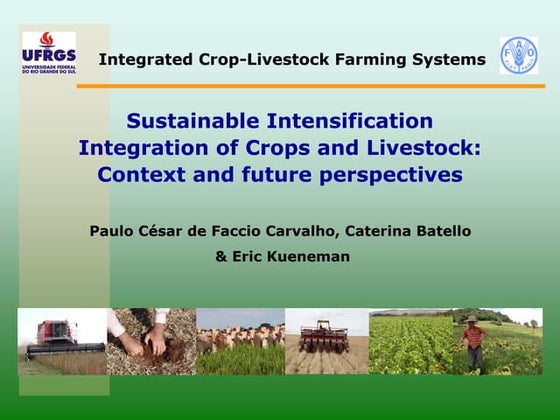 Improving the productivity of integrated tree cropping system in ...