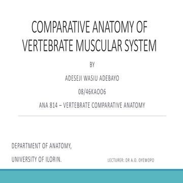 Comparative anatomy circulatory system | PPT