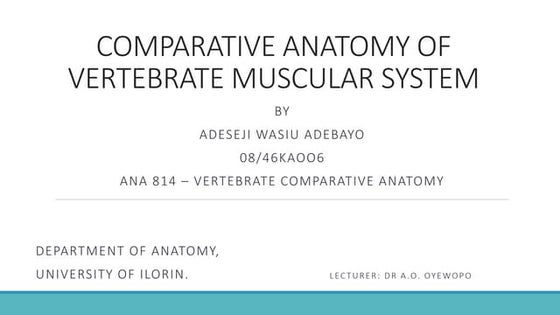 Comparative Anatomy of Digestive System of Vertebrates | PPT