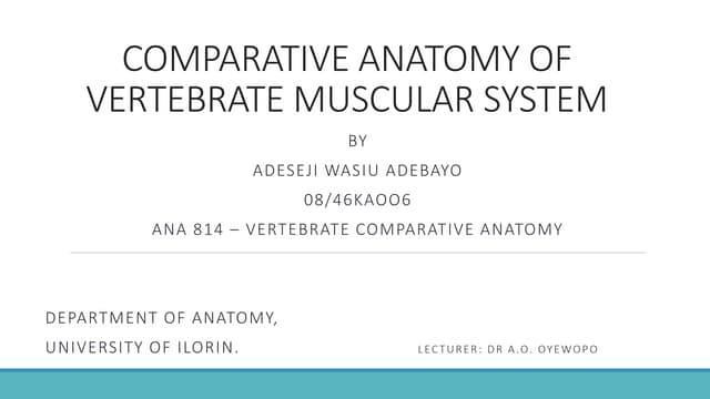 Comparative anatomy circulatory system | PPT