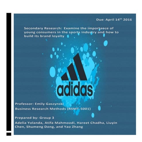 Adidas_Group 3 Group Project | PDF
