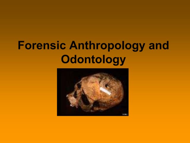 Forensic anthropology | PPT