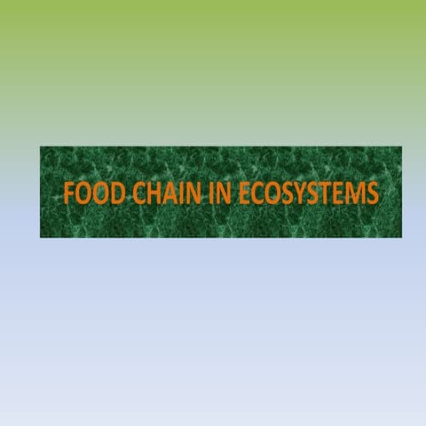 Food Chains in Ecosystems | PPTX | Vegetarian Diets | Food & Drink
