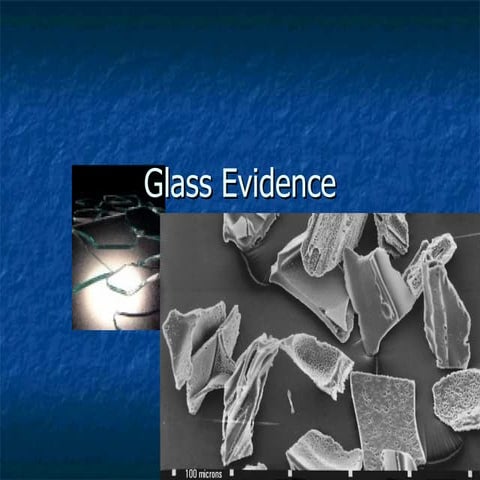 Glass Evidence | PPT