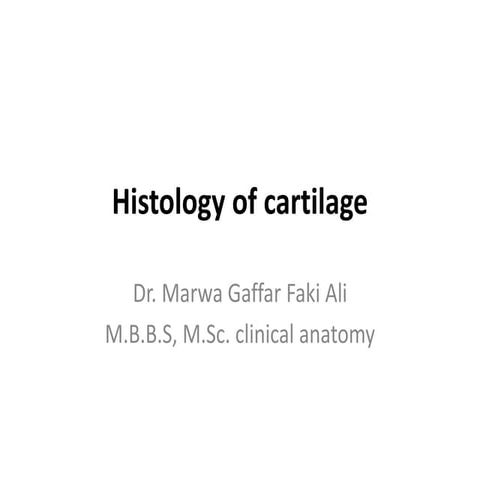 CARTILAGE | PPTX